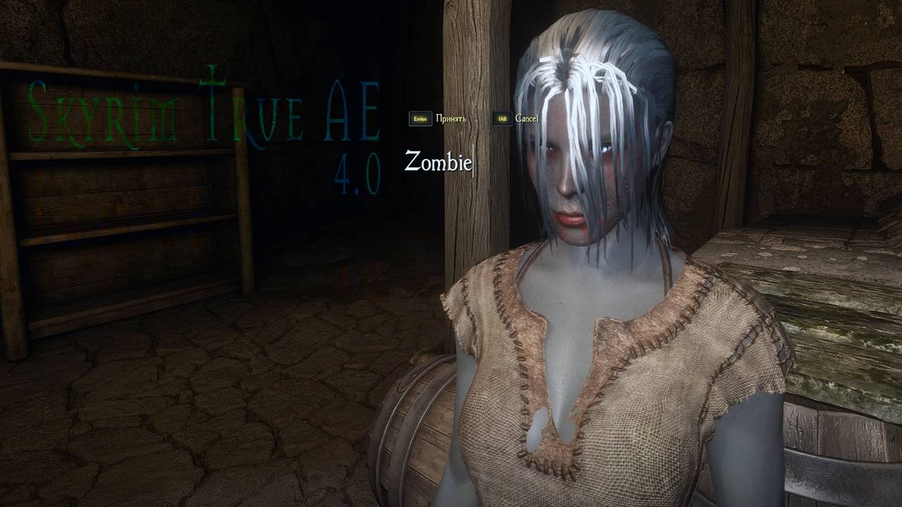 Skyrim True AE 4.0 - Выход из клетки