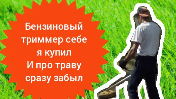 Истории садовода. Бензиновый триммер Eurolux TR 1000T