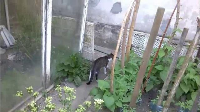 2021 Июнь Дорога  Мама я