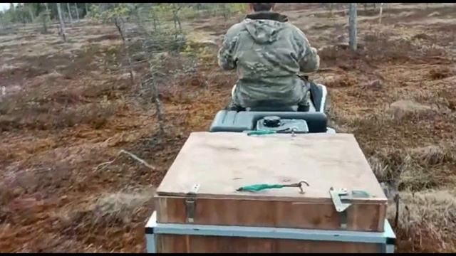 Мототолкач по болоту на весеннюю охоту.  Мотобуксировщик Ураган Универсал+, Архангельская область