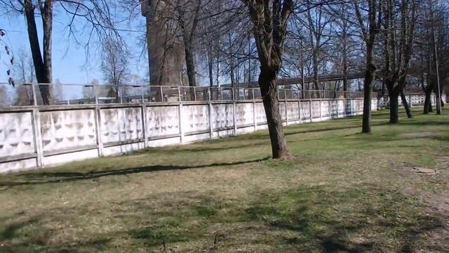 непростые разговоры - 3. Рената Смирнова