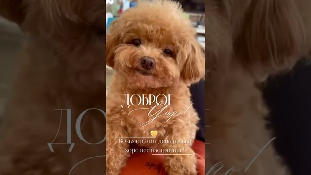 Доброе утро ❤️❤️❤️