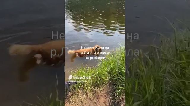 как Рита провела начало лета#shorts