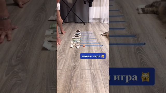 игры для всей семьи