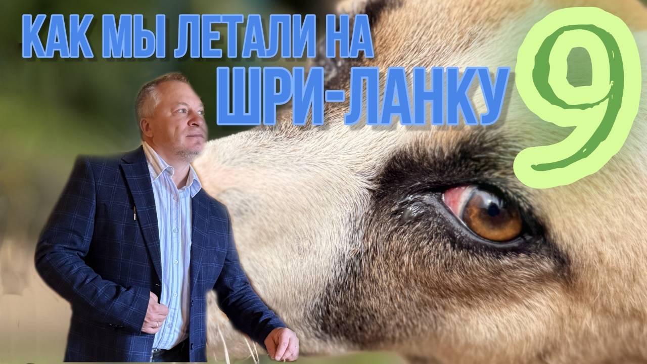 КАК МЫ ЛЕТАЛИ НА ШРИ-ЛАНКУ. ЧАСТЬ 9. БОТАНИЧЕСКИЙ САД ХАКГАЛА и ГРАНД ОТЕЛЬ в НУВАРА-ЭЛИА.