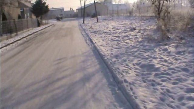 2021 Февраль Котики Огород  дорога