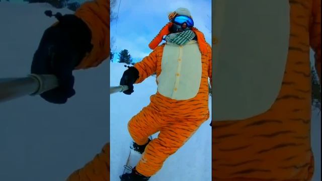 тигра сноубордист