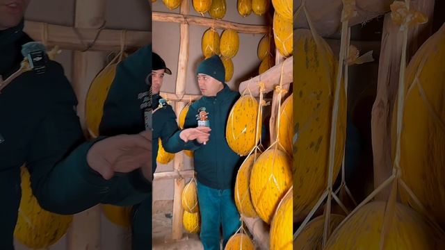 YOʻL-YOʻLAKAY 30-qism. “SHUXDIL” kanalida