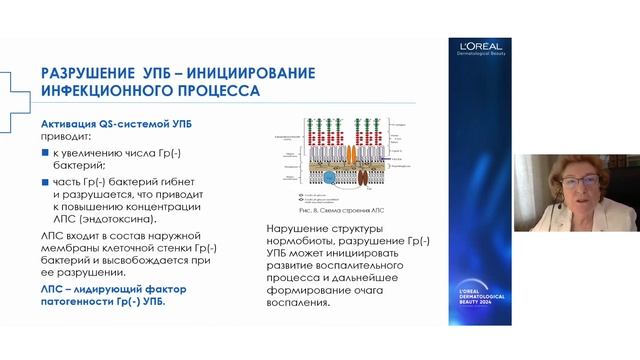 Микробиота. Взгляд микробиолога