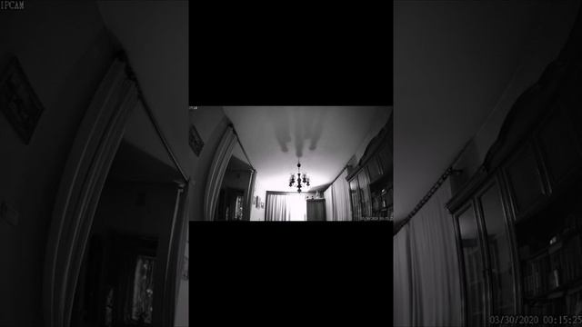 #пситеррор, #голосавголове, #киберпреступность, #ОПГ, #Mind_control, #ti. Выпуск 217.