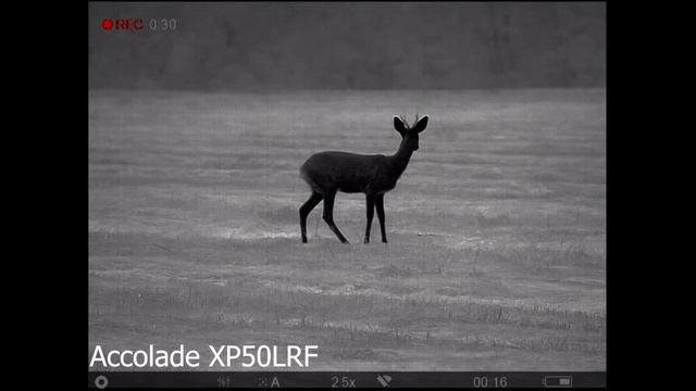 Сравнение Accolade 2 XP50 lrf и Accolade XP50 lrf первого поколени | Снаряжение для охоты