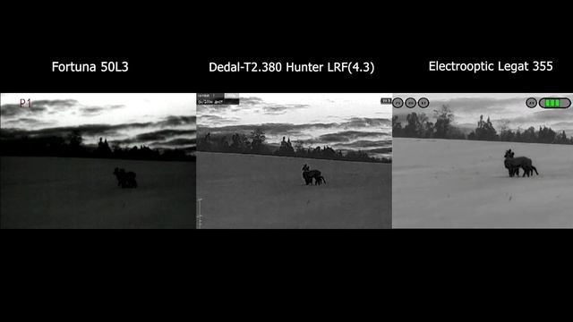 Столкнули лбами прицелы от Electrooptic, Fortuna и Dedal. Какой лучше? Видео реальной охоты 2021