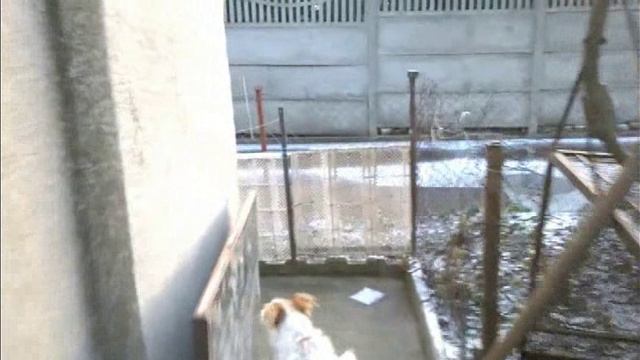 2021 Декабрь я теплица