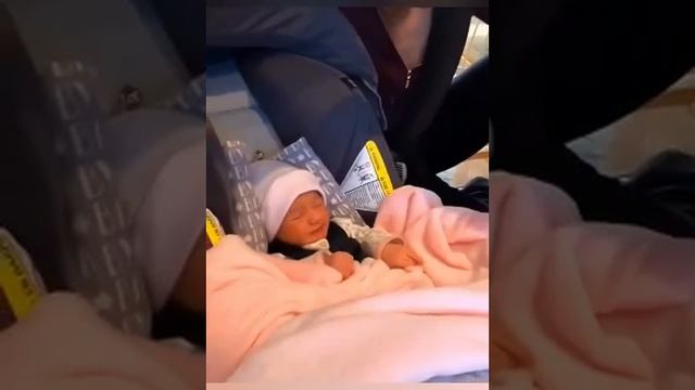 Собачки няньки