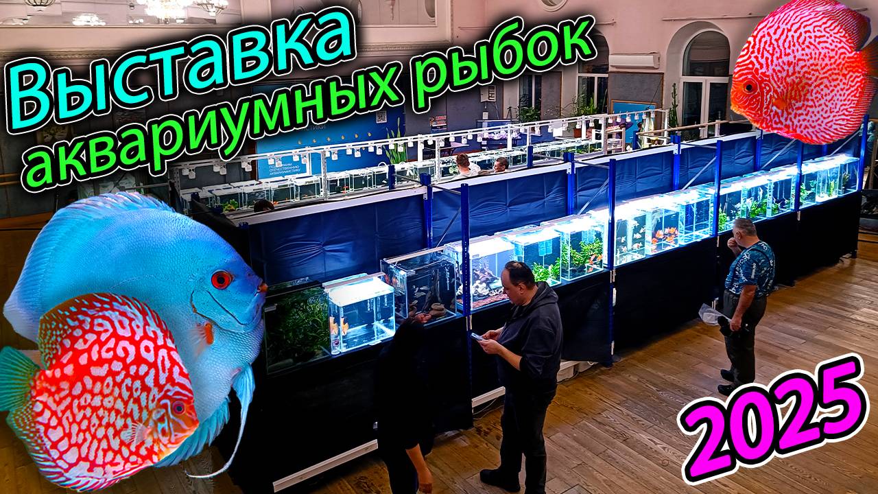 Выставка аквариумных рыбок 2025 [ГОТОВНОСТЬ 99%]