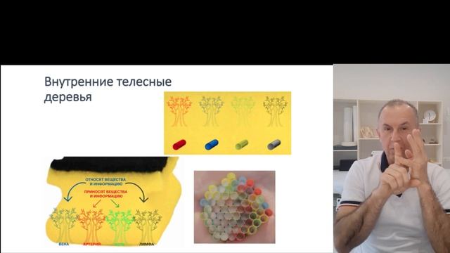 «КУЛИНАРНОЕ» ШОУ – КАК ПОХУДЕТЬ И УБРАТЬ ЦЕЛЛЮЛИТ без диет. День четвёртый.