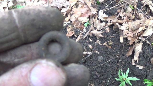 Хожу с металлоискателем в лесу!!! Находки так себе, но они есть!!!