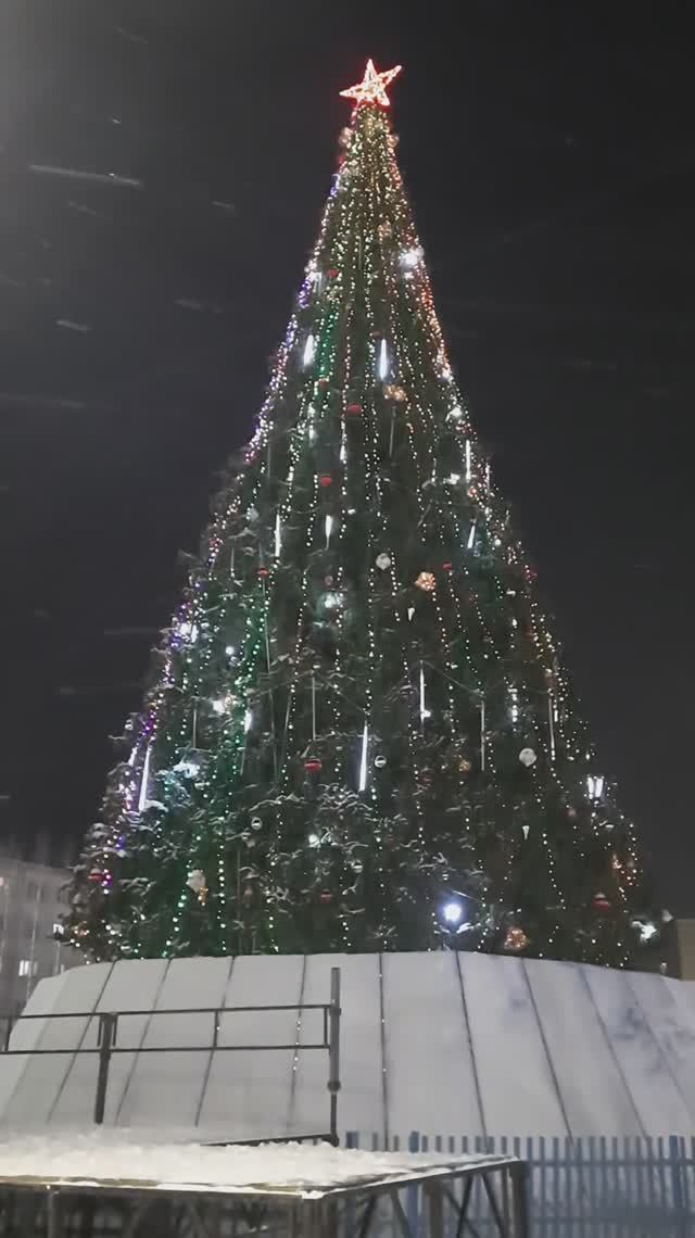 Красивая Новогодняя Ухта 4 Января 2025