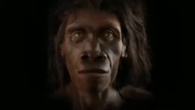 Деградация человека. Вячеслав Деревенский