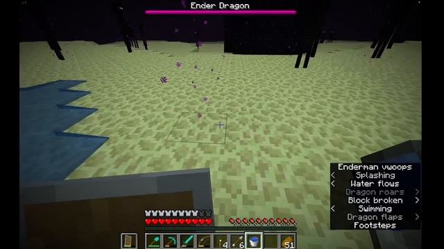 Новогодняя коллекция видео часть 19 (эндер дракон)