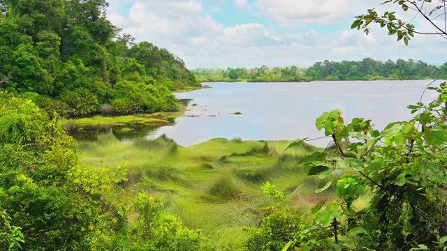 Borneo's Wildlife - Walking Trip. Brunei Darussalam