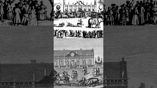 ЛЕДЯНОЙ ДВОРЕЦ для шутов императрицы Анны Иоанновны.  #история #санктпетербург