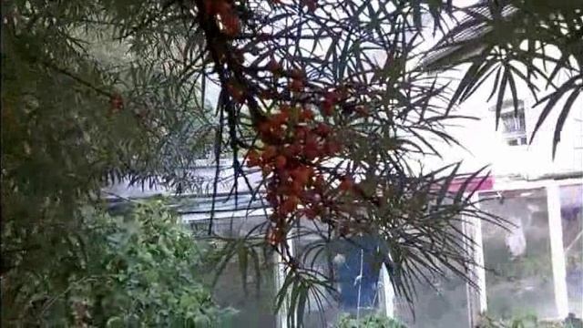 2021 Октябрь Мама я