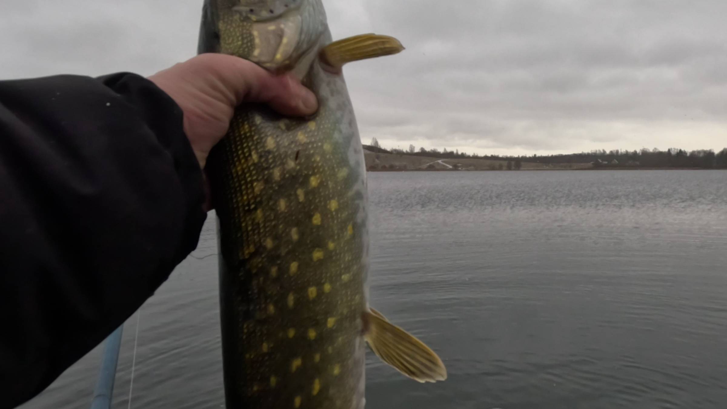 Рыбалка на щуку. Щука в январе на ПОПЛАВОК.