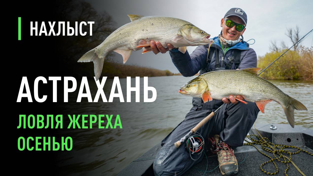 Осенний ЖЕРЕХ ловля на глубине. Лучшие СТРИМЕРЫ для капризного жереха.