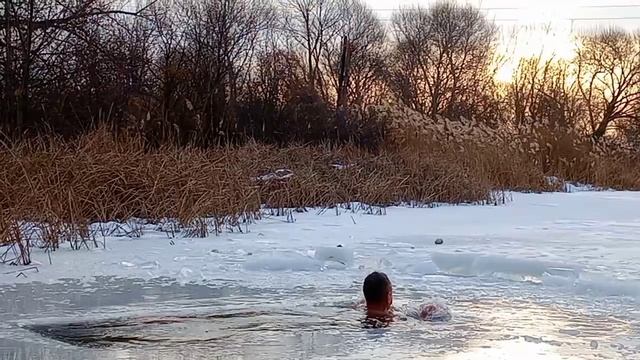 Моржевание, Закаливание