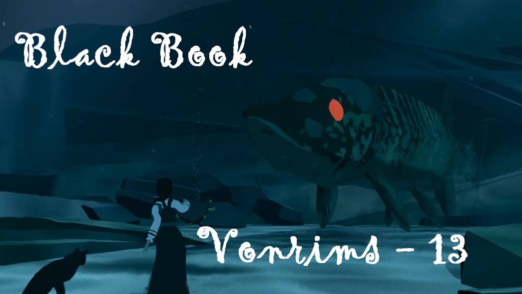 Black Book №13 (ЩУКА БОСС И СТОЛБЫ МУЗЫКАЛЬНЫЕ)