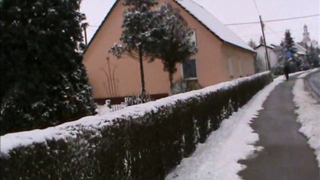 2021 Январь Деревня Марыся Животные