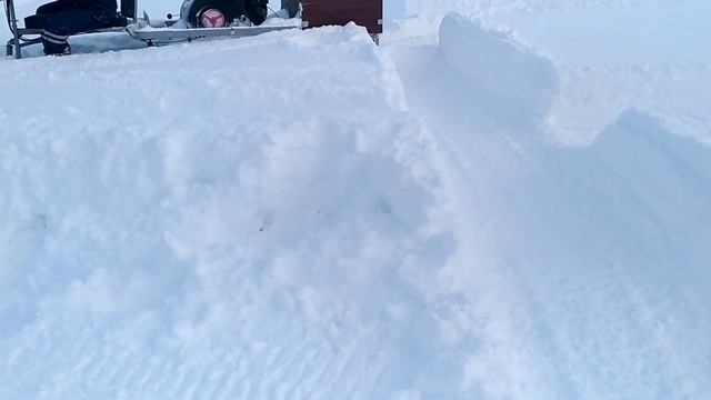 Мототолкач & снегоход на гус шириной 600 мм по свежему снегу по пояс  Мотобуксировщик Ураган Зверь!