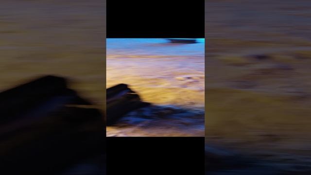 ледяные скульптуры🧊