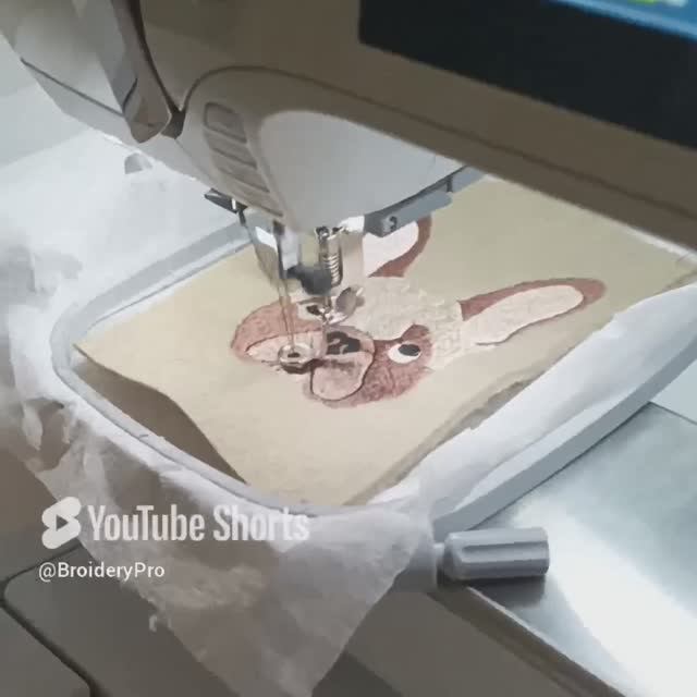 Что может программа BERNINA