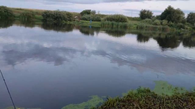 Поездка в Бояринцево.