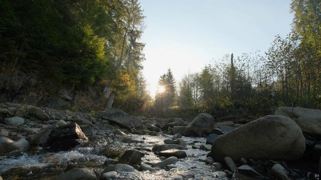 Звук ручья и пение птиц для отдыха, медитации и расслабления.