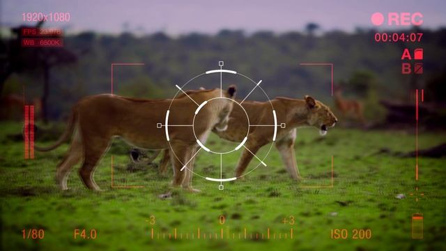 Создание эффекта камеры