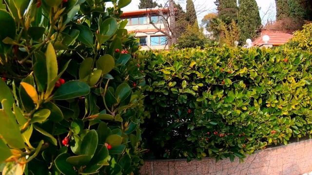 2023 3 3 МИСХОР ПАРК