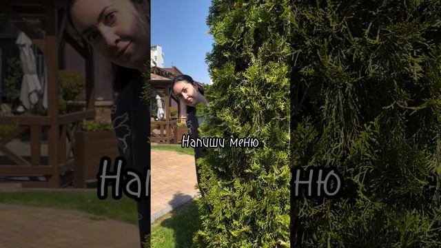 Нутрициолог это, если коротко