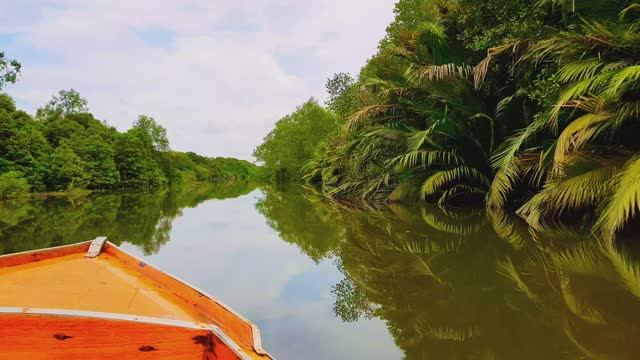 Borneo's Wildlife - Boat Trip. Brunei Darussalam