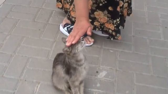 2014 ФИОЛЕНТ ЭКСКУРСИЯ