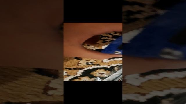 мой макет города обзор.