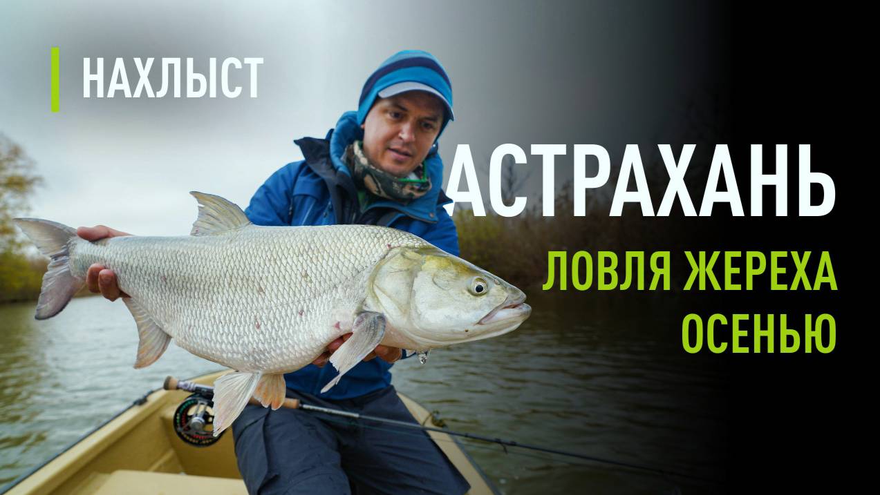 Ловля ЖЕРЕХА осенью. Оснастка для ловли на глубине, рабочие стримеры, тактика ловли.