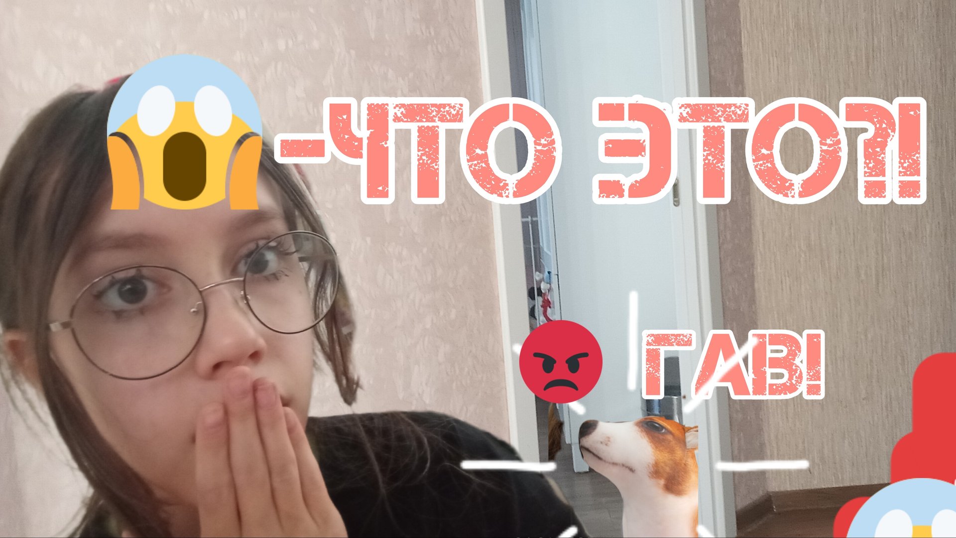 УСЛЫШАЛА ЛАЙ ОТКРЫЛА ДВЕРЬ А ТАМ МНЕ ПОДКИНУЛИ СОБАКУ КЕГА ДЖЕК РАССЛ ТЕРЬЕР