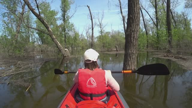 Плывем в заколдованном лесу. Хатанга 2 Travel