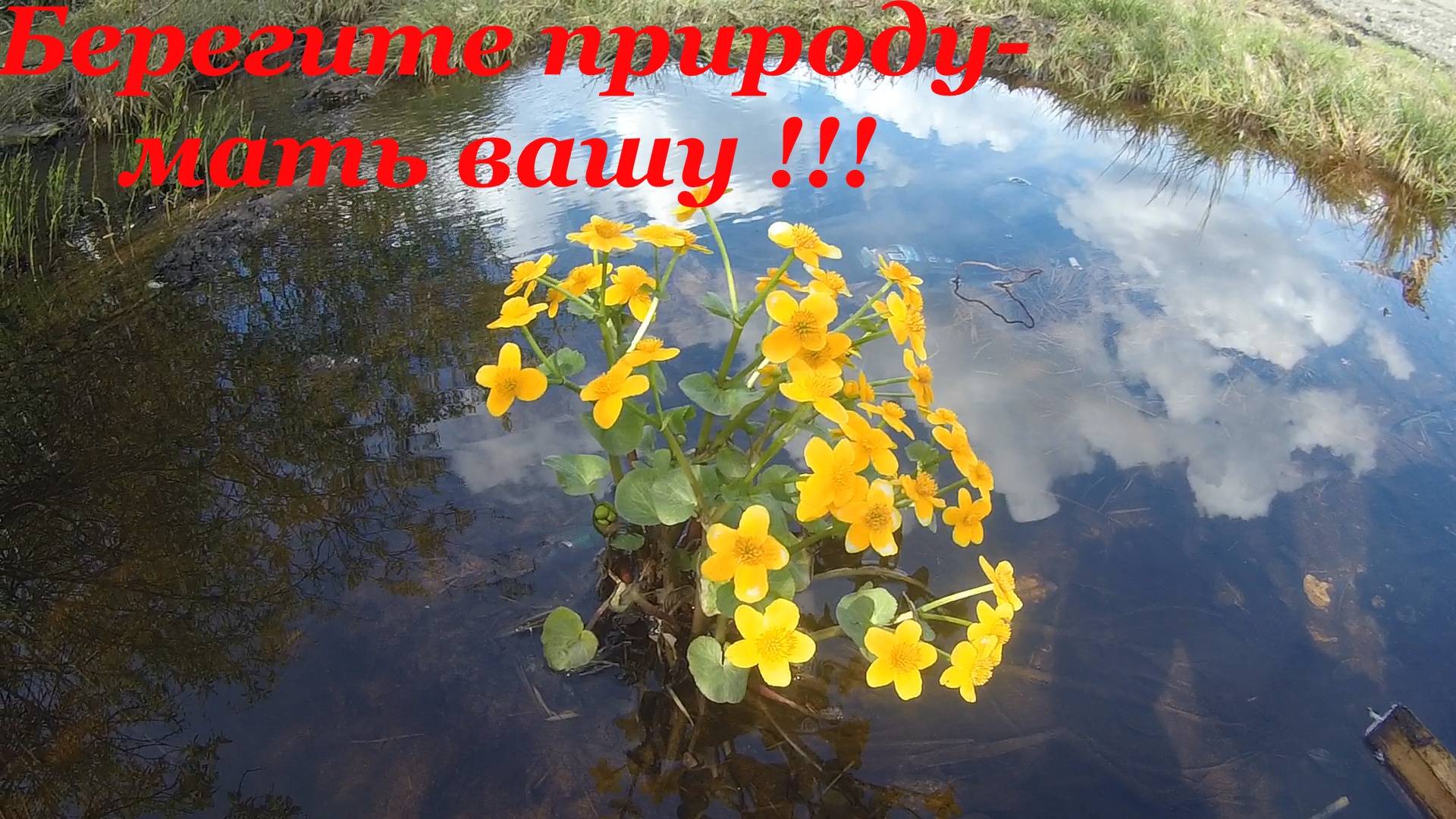 Как то весной. Мурманская область. Трасса Р-21.