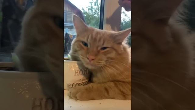 Нельзя есть людей!