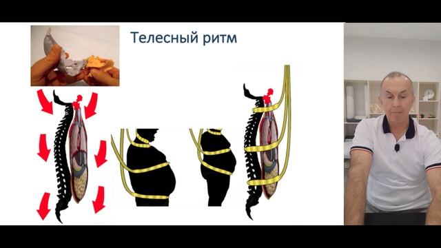 «КУЛИНАРНОЕ» ШОУ – КАК ПОХУДЕТЬ И УБРАТЬ ЦЕЛЛЮЛИТ без диет. День пятый.