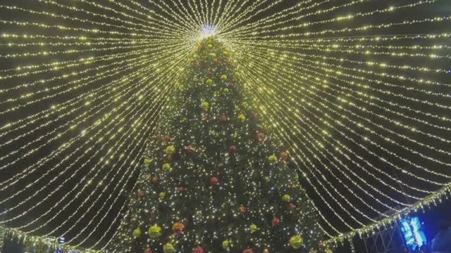 Поющая и танцующая Ялта встречает Новый год. Новогодние каникулы в городе счастья.